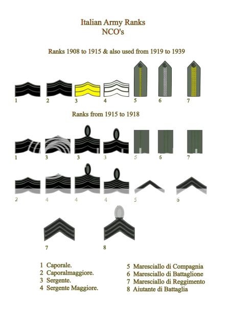 Rank Charts Story by Wilf Fradgley (wfrad) | Photobucket